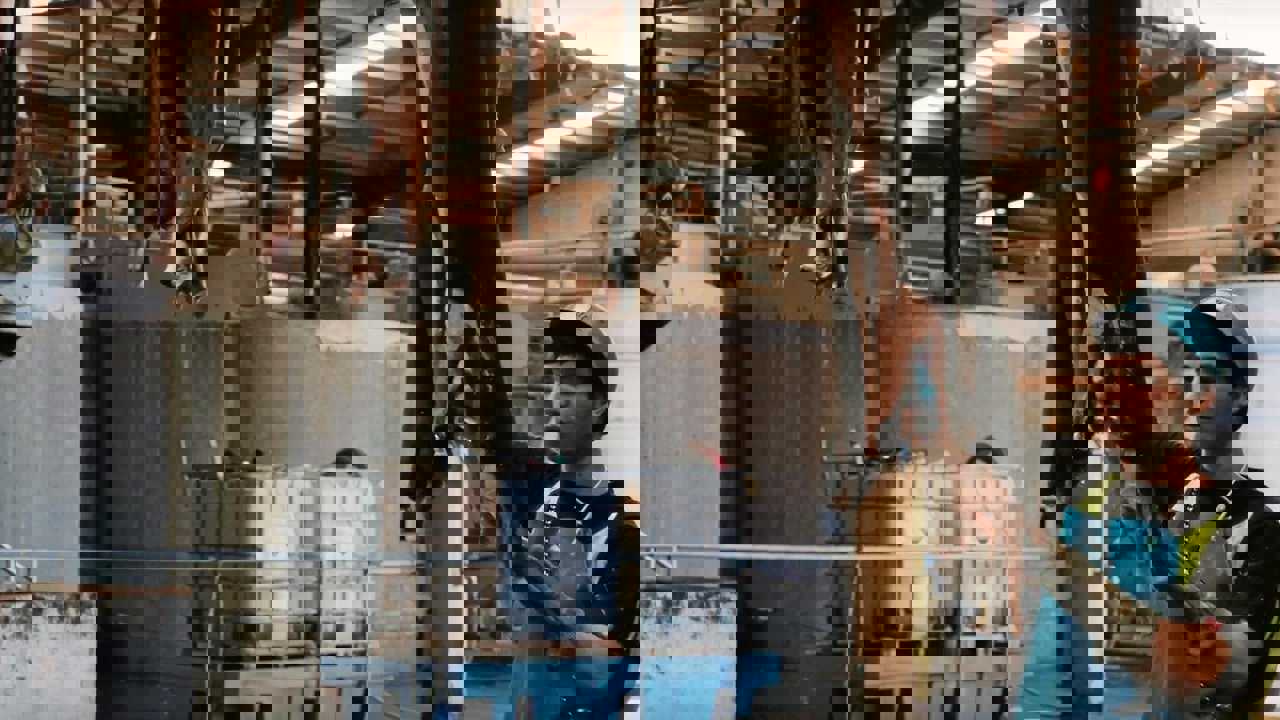 Salted hide handling system for movement and logistics within the hide ...