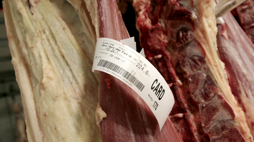 Australian Meat Processor Corporation - Supporting the red meat ...