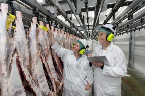 Australian Meat Processor Corporation - Supporting the red meat processing industry throughout ...