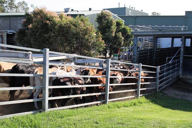 Australian first stunning trial begins