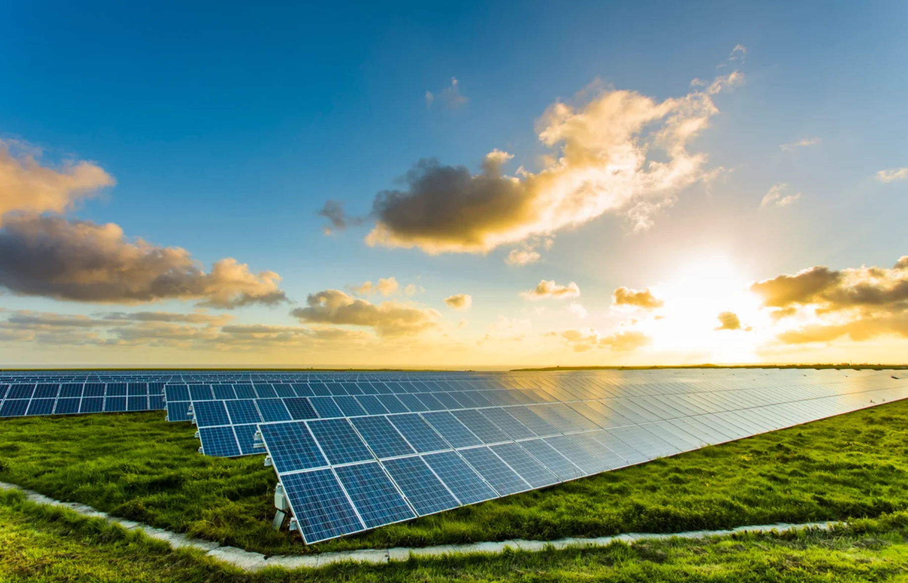 Australian red meat processors record best environmental performance ...